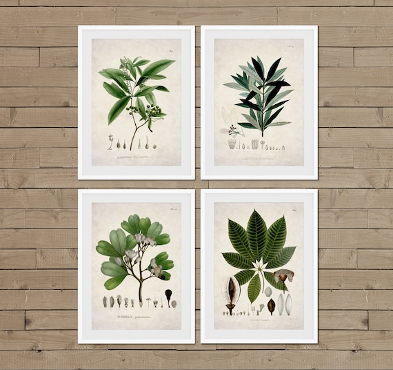 Botanical Floral Wall Art Set for Farmhouse Wall Decor Living - Etsy
