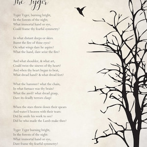 The Tyger William Blake Love Poem Art Print After A While Poem Poster ...