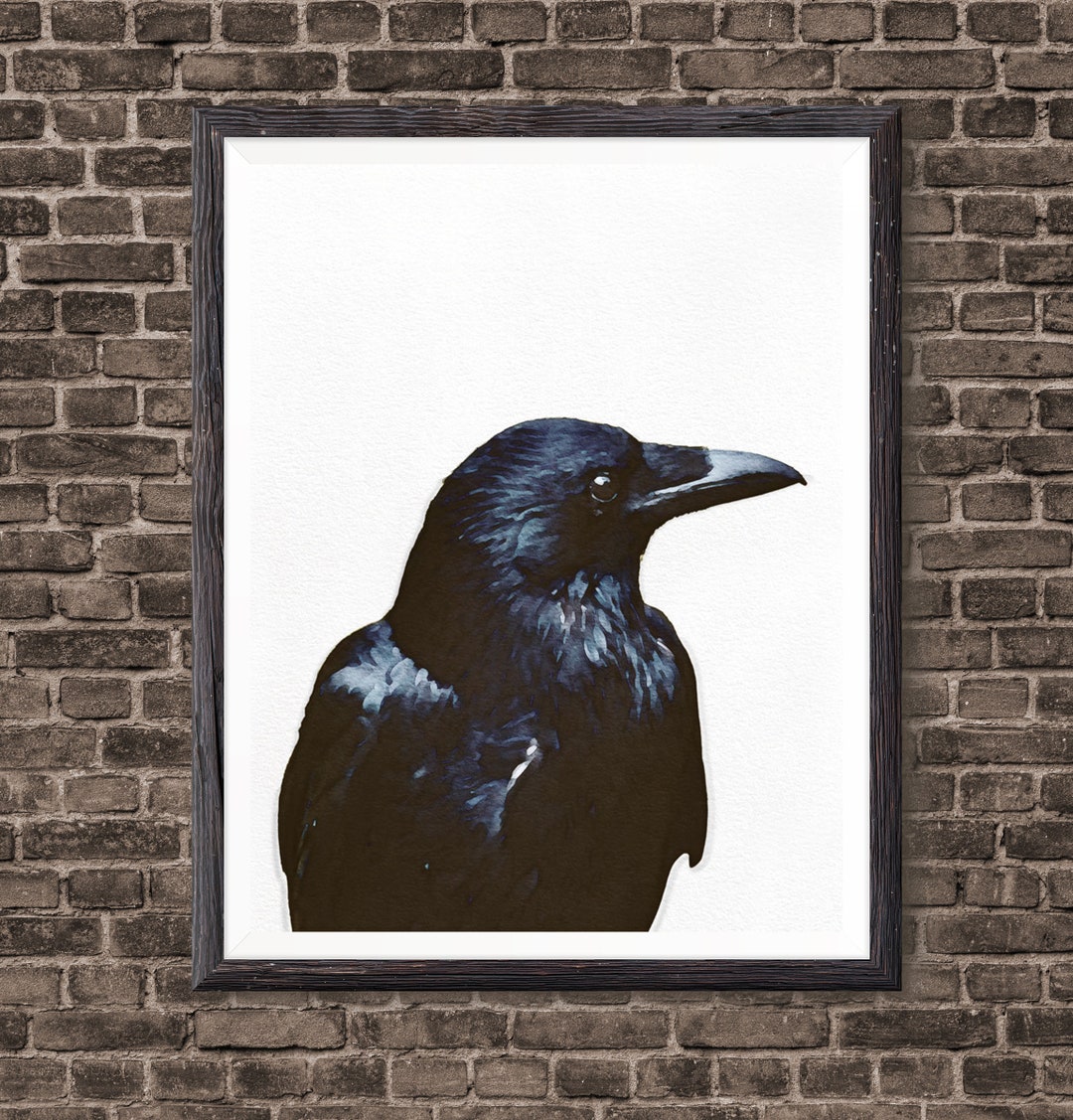 Raven Art Print, Raven Decor, Raven Bird Picture, Raven Wall Art Print ...