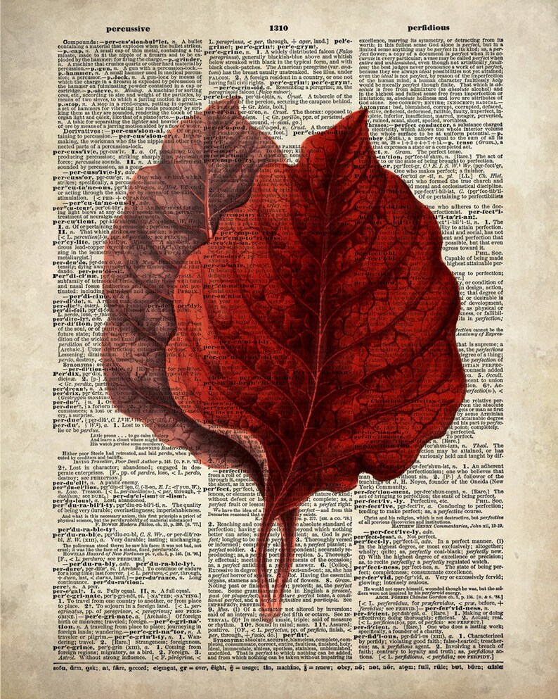 Vintage Dictionary Art Print Dictionary Prints Dictionary | Etsy