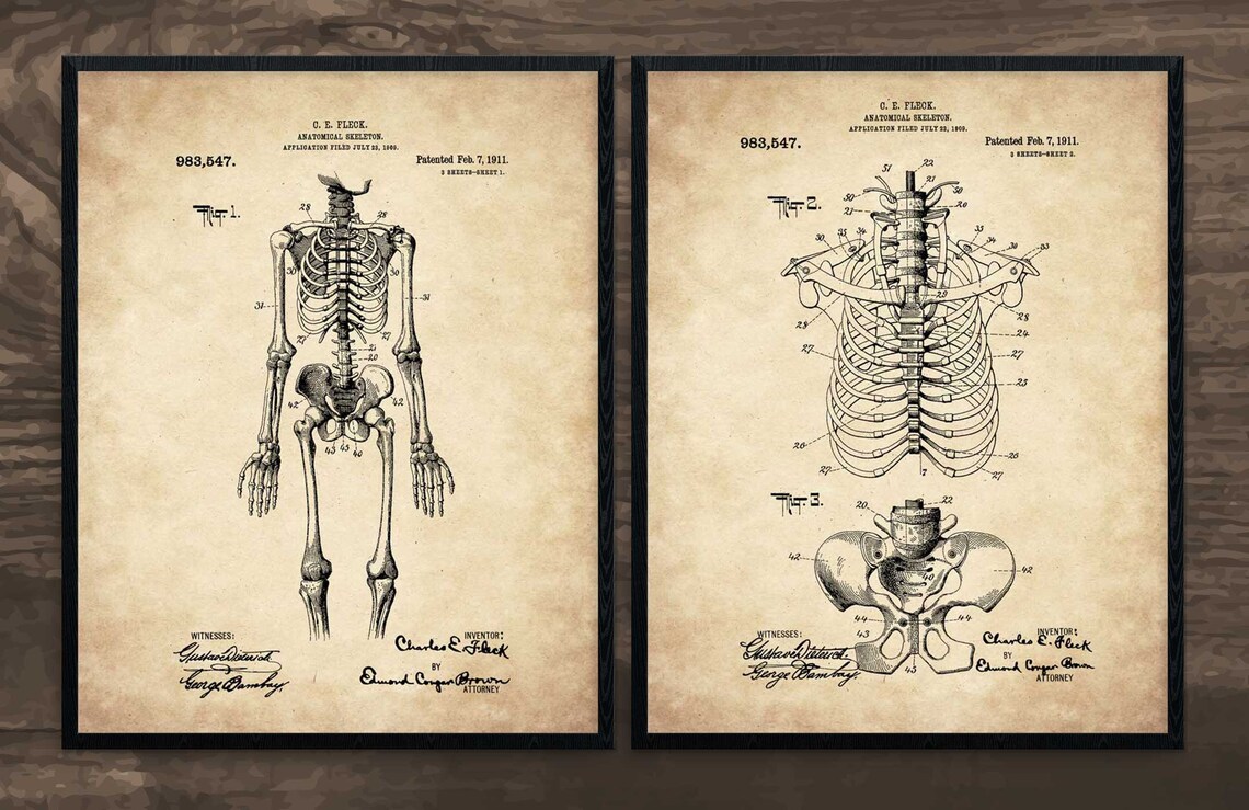 Skeleton Vintage Skeleton Set of 2 Skeleton Print Anatomy - Etsy