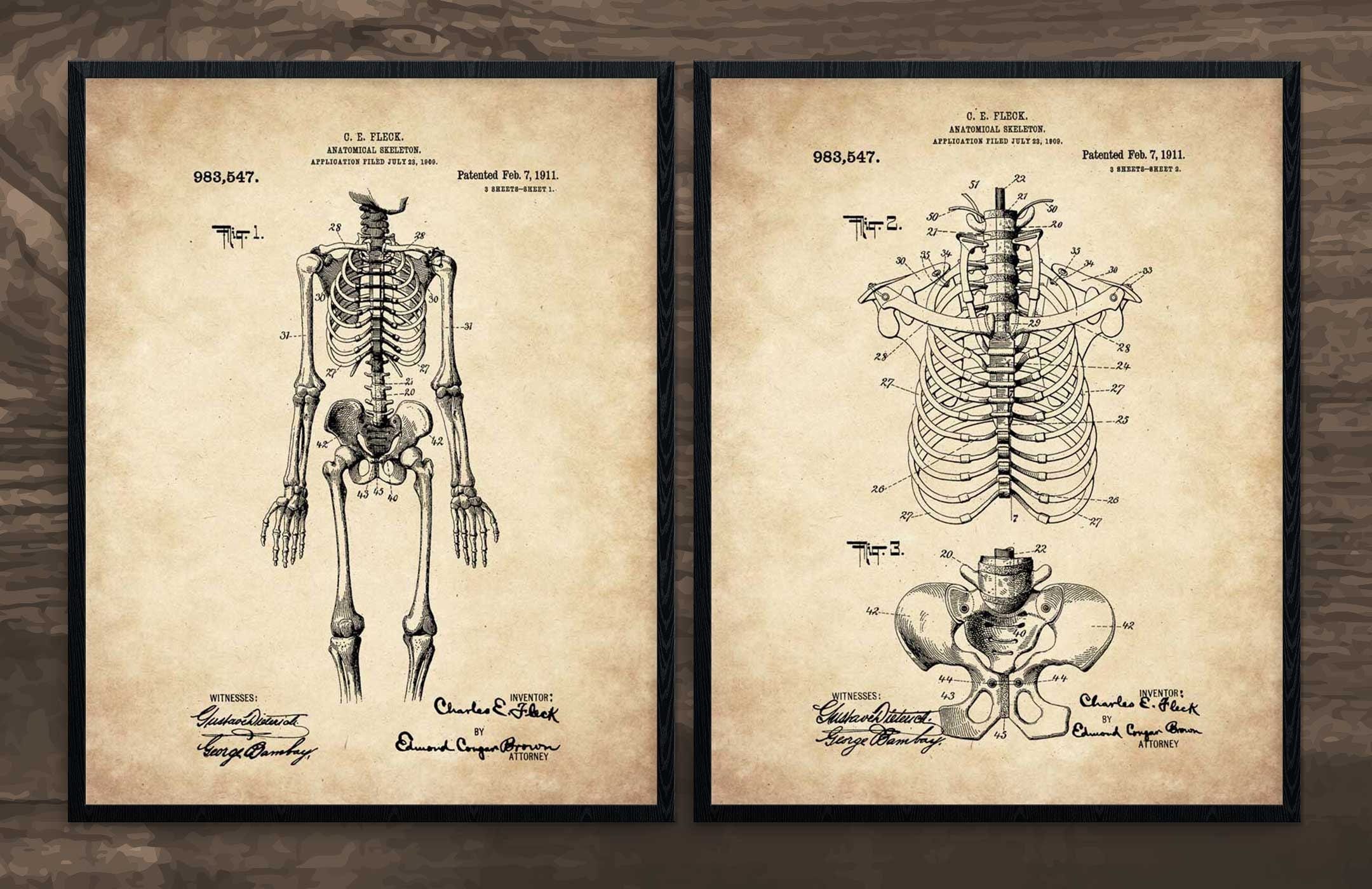 Skeleton Vintage Skeleton Set of 2 Skeleton Print Anatomy | Etsy