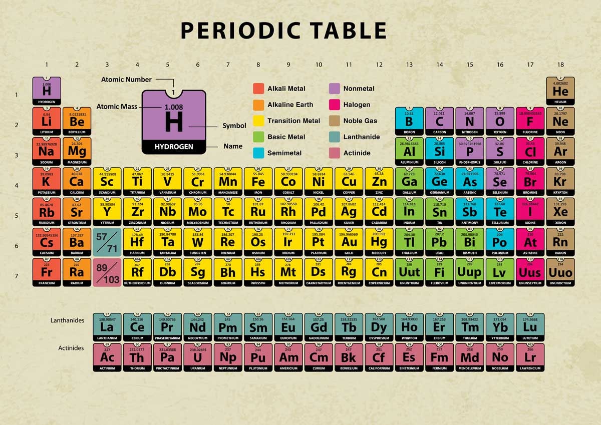 Periodic Table With Everything On It