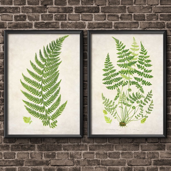 Fern Print - Etsy
