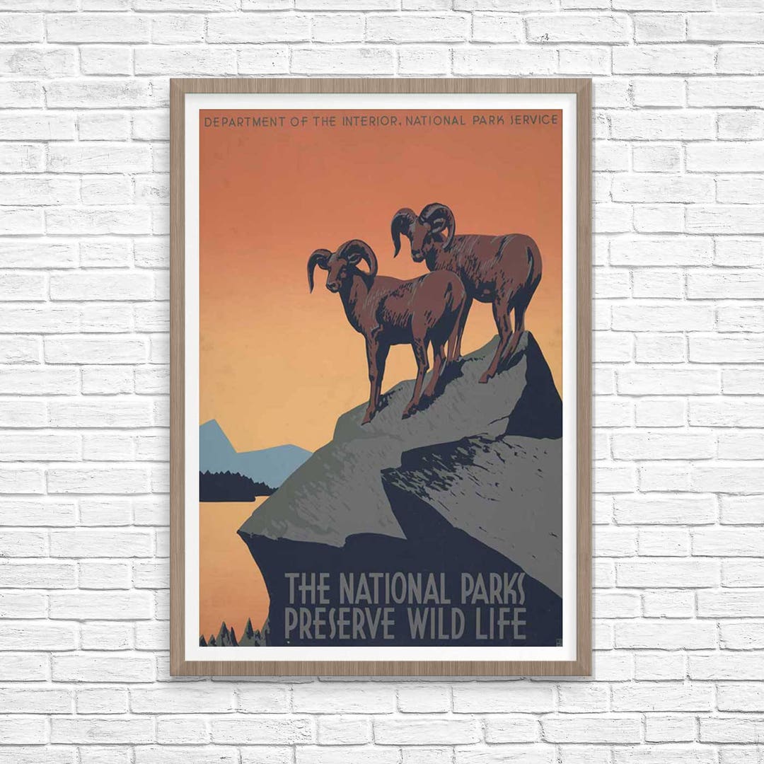 National Parks Poster, WPA National Parks Poster, WPA Poster, Wild Life ...