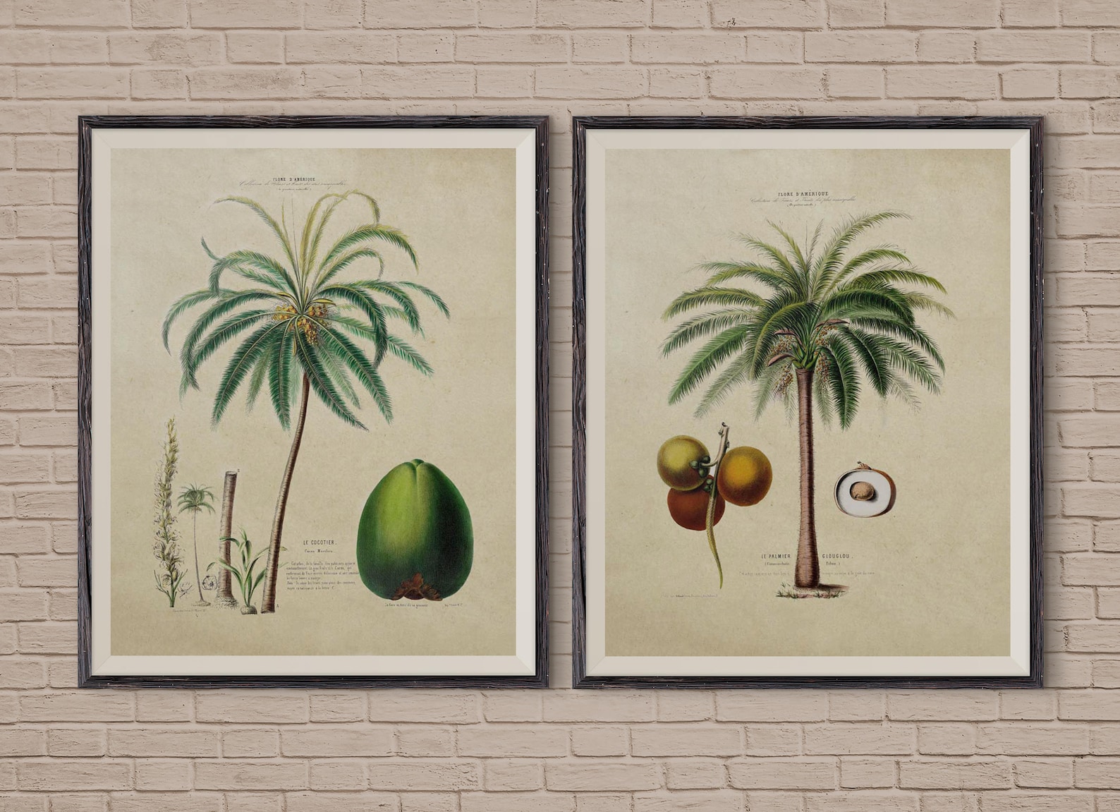 Tropical Decor Tropical Art Print Set of 2 Tropical Wall - Etsy