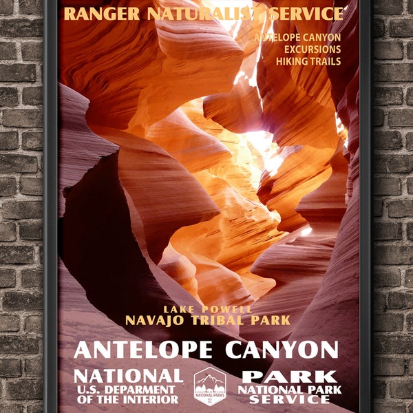 Antelope Poster - Etsy