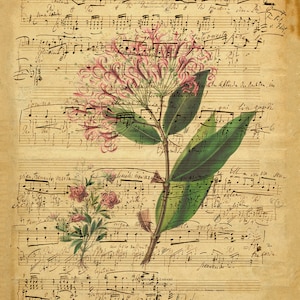 Music Sheets, Vintage Music Sheet, Vintage Flower, Musical Notes, Old ...