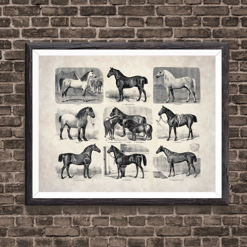 Equestrian Posters - Etsy