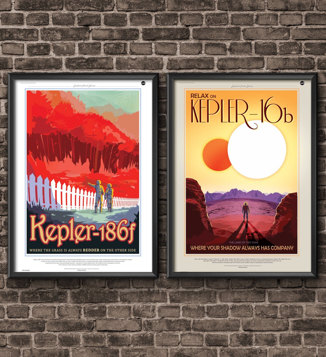 NASA Poster Wall Art Exoplanet Travel Posters Kepler Mission Set of 2 ...