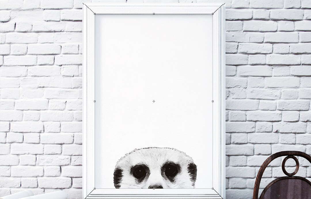 Meerkat Art, Meerkat Poster, Nursery Art, Meerkat Illustration, Meerkat ...