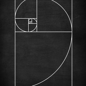 Fibonacci Spiral Wall Golden Ratio Wall Art Mathematics - Etsy