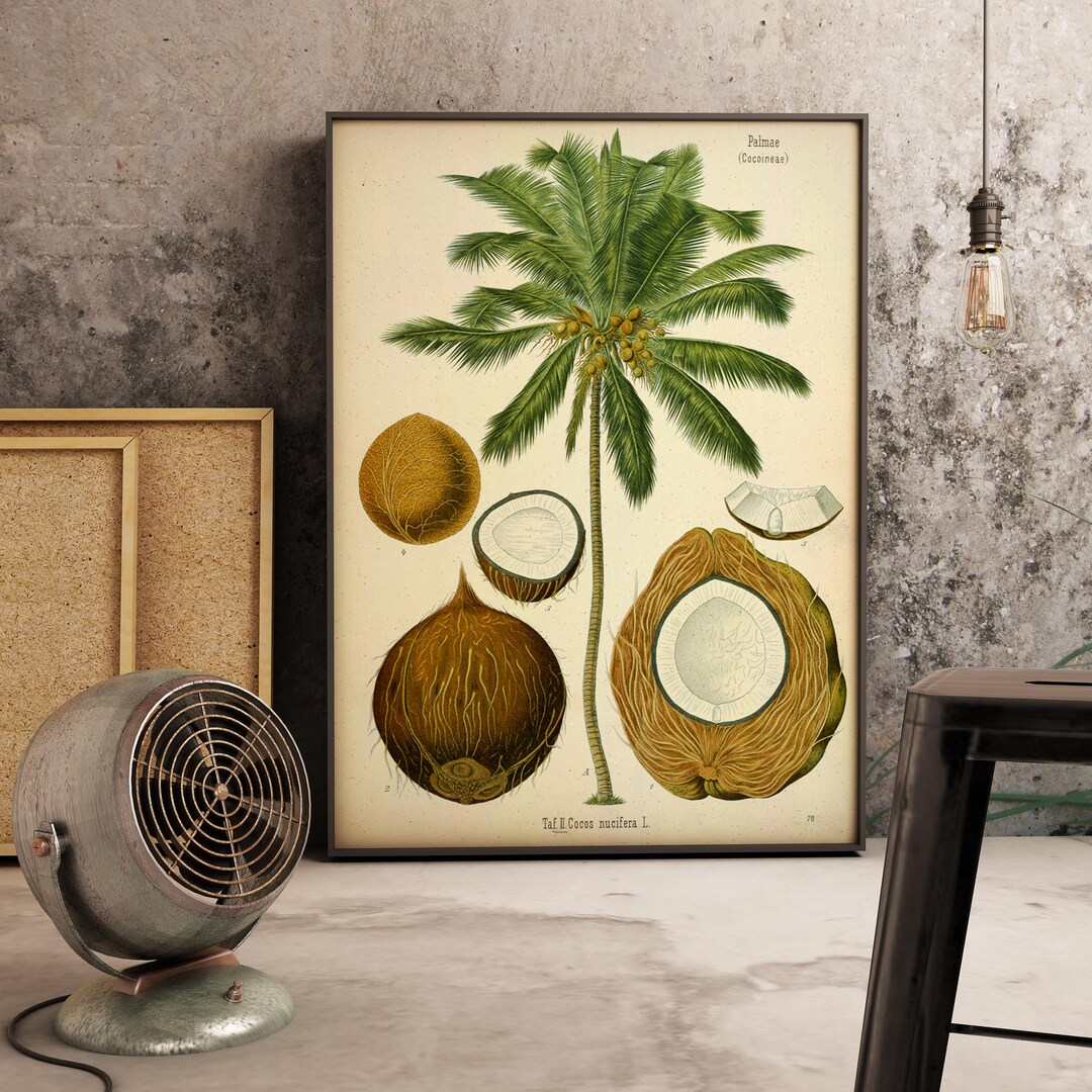 Coconut Kitchen Wall Art Poster, Botanical Wall Art Print, Vintage ...