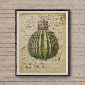 Music Sheets, Cactus Art, Cactus Print, Vintage Music Sheet, Vintage ...