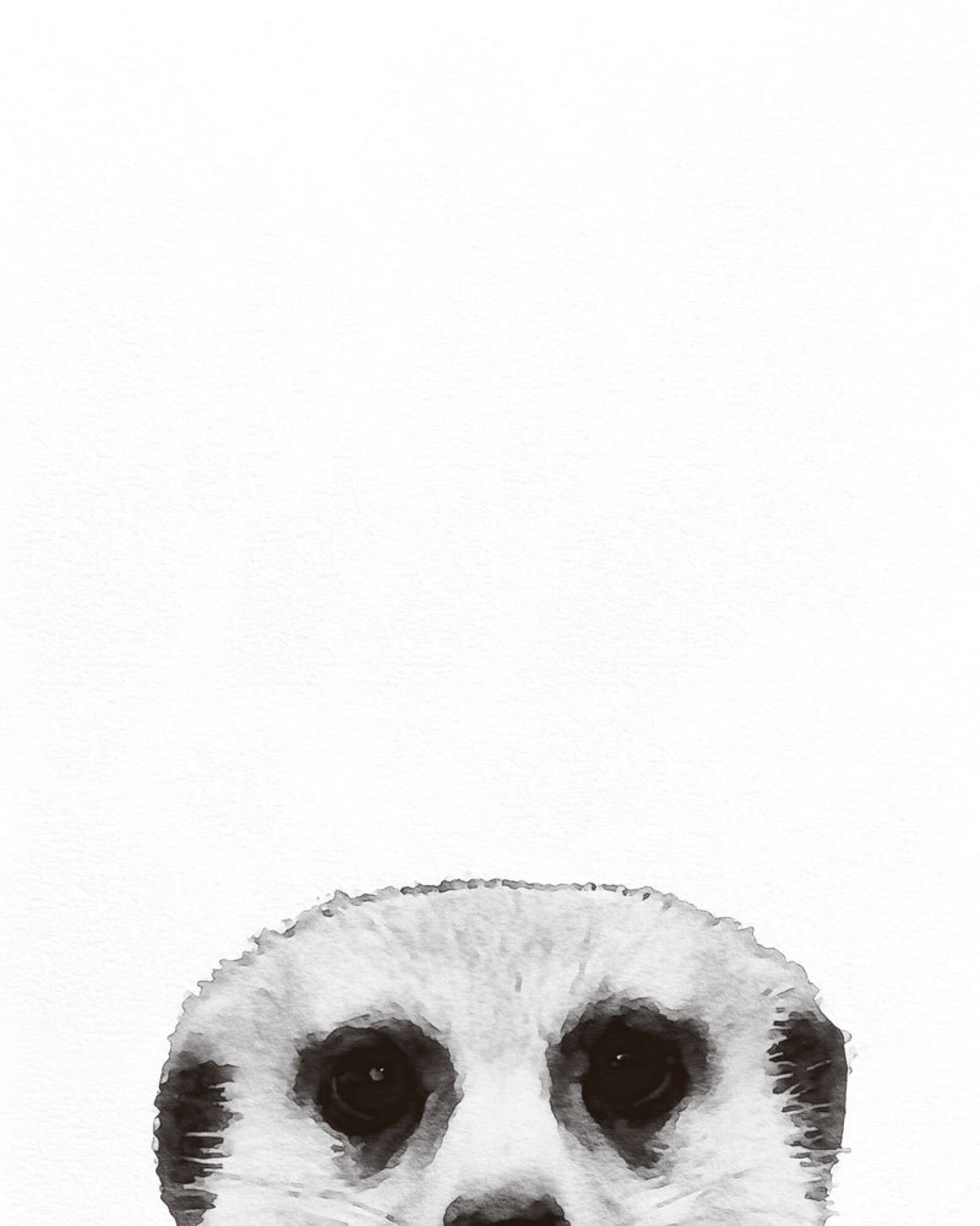 Meerkat Art Meerkat Poster Nursery Art Meerkat - Etsy