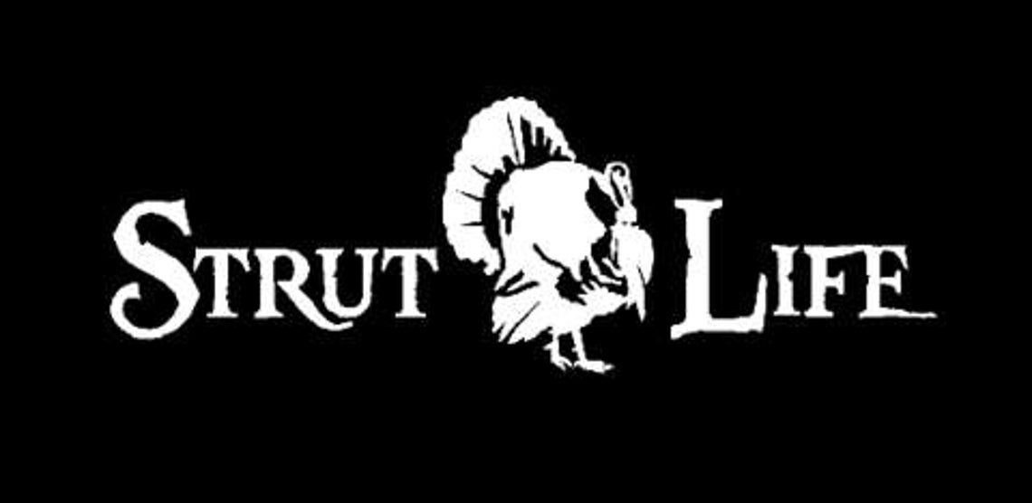 Strut life decal vinyl vehicle vinyl vinyl decal sticker | Etsy