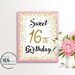 Sweet 16th Birthday // 16th Birthday Party Sign // 16th Birthday ...