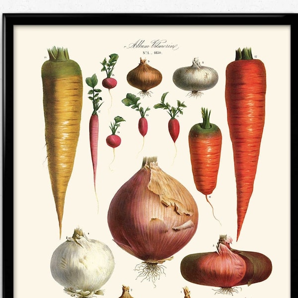 Vegetable Art Print - Etsy