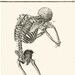 Crying Skeleton Vintage Print Science Picture Skeleton - Etsy
