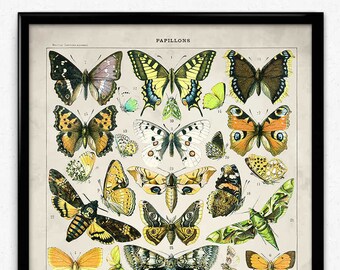 Butterfly art | Etsy