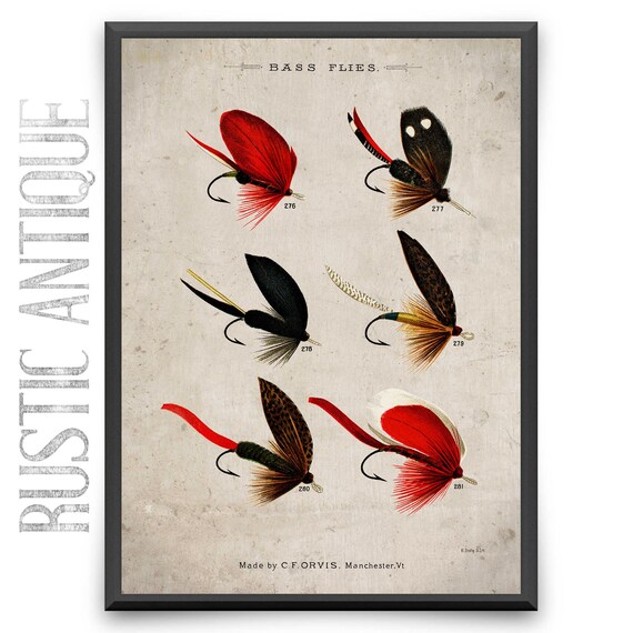 Fly Fishing Flies Illustration