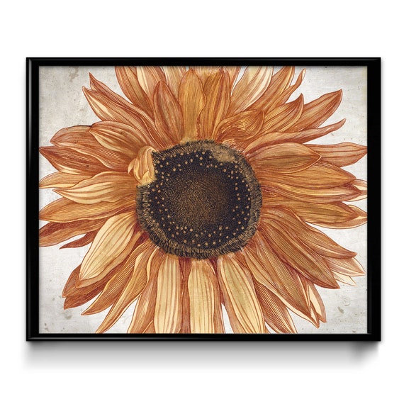 Dutch Sunflower Vintage Print Flower Poster Flower Art | Etsy