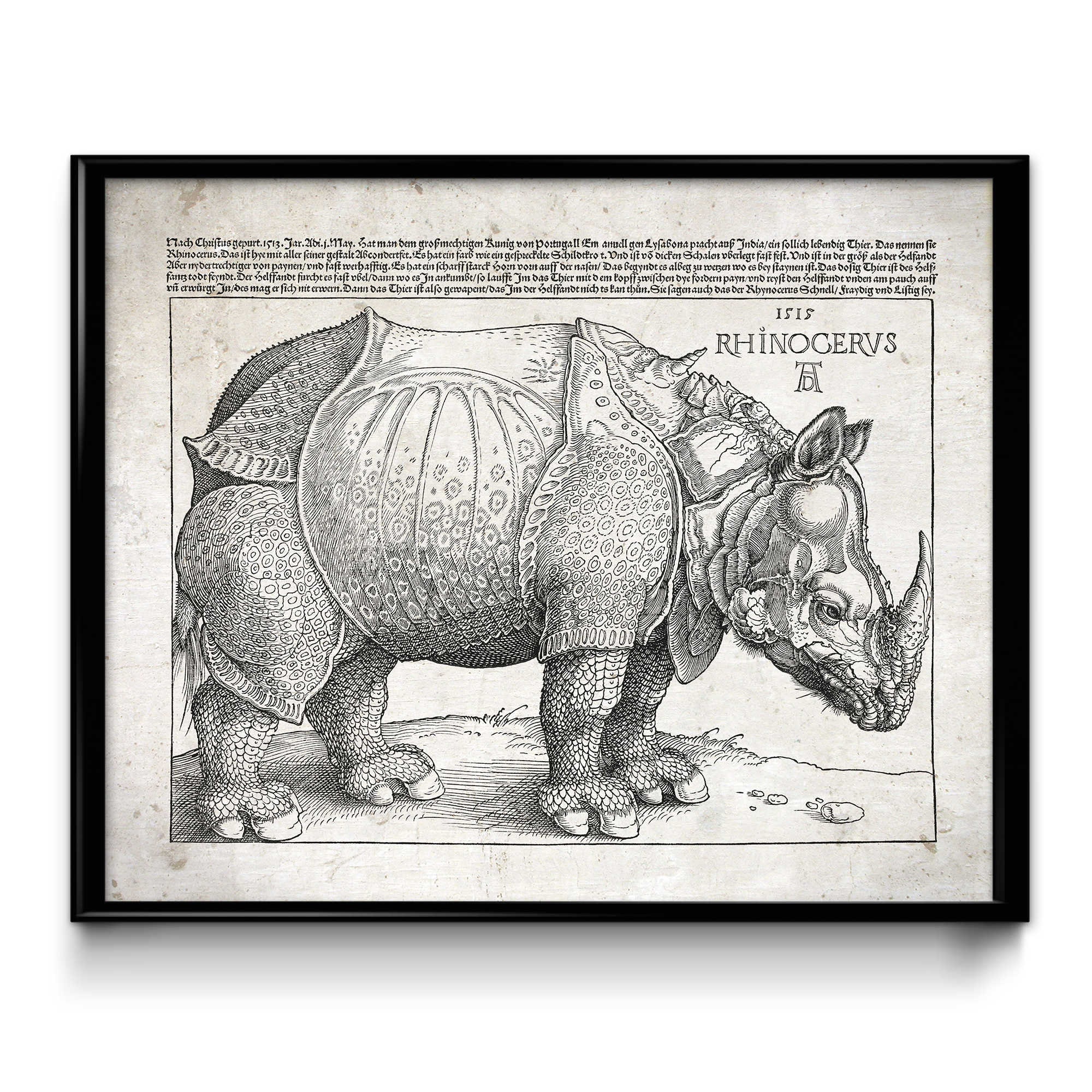 Durer Rhino Poster - Etsy