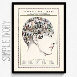 Phrenology Head Vintage Print Science Picture Psychology Poster Anatomy ...