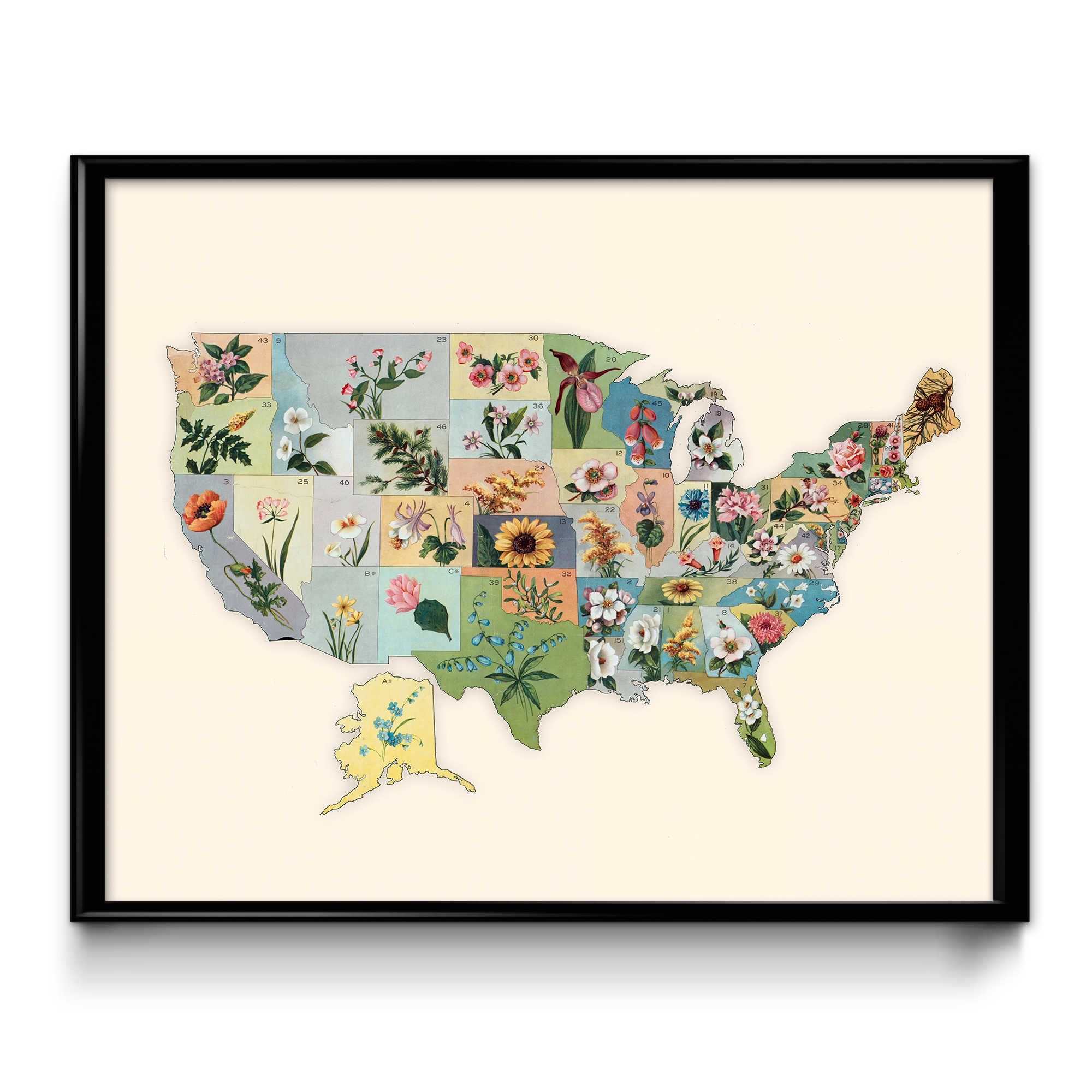 US Map Beautiful Bouquet Map of the United States Flower | Etsy