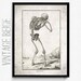 Crying Skeleton Vintage Print Science Picture Skeleton Poster Anatomy ...