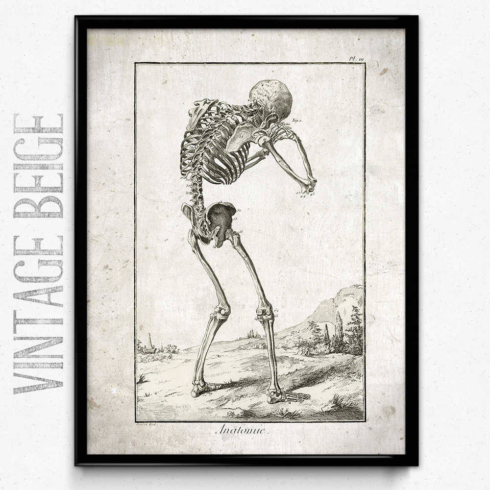 Crying Skeleton Vintage Print Science Picture Skeleton | Etsy