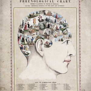 Phrenology Head Vintage Print Science Picture Psychology Poster Anatomy ...