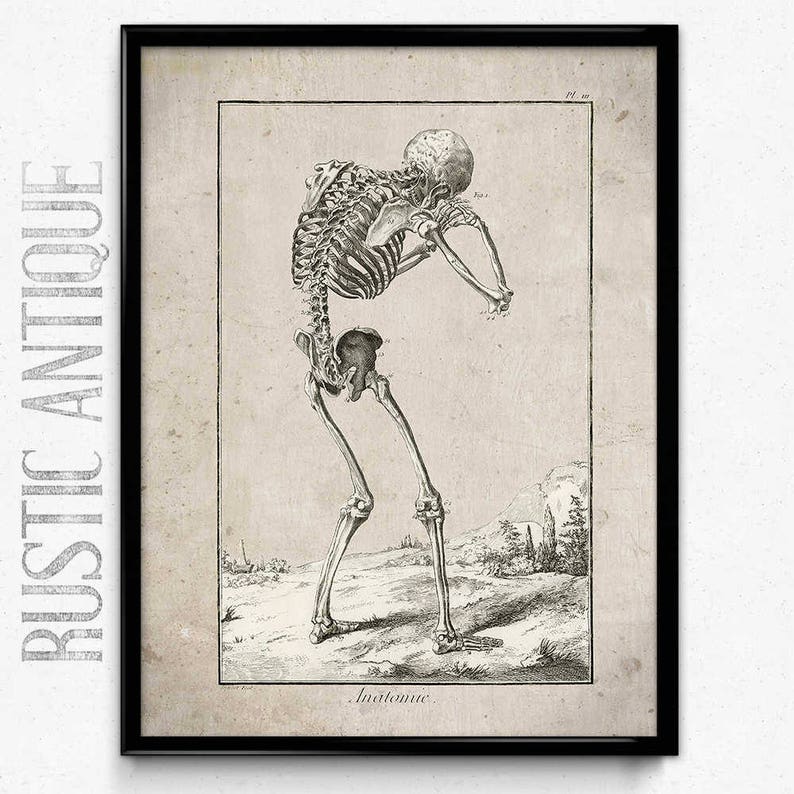 Crying Skeleton Vintage Print Science Picture Skeleton | Etsy