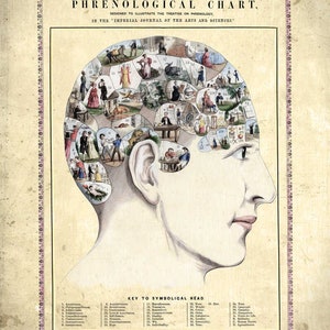 Phrenology Head Vintage Print Science Picture Psychology Poster Anatomy ...
