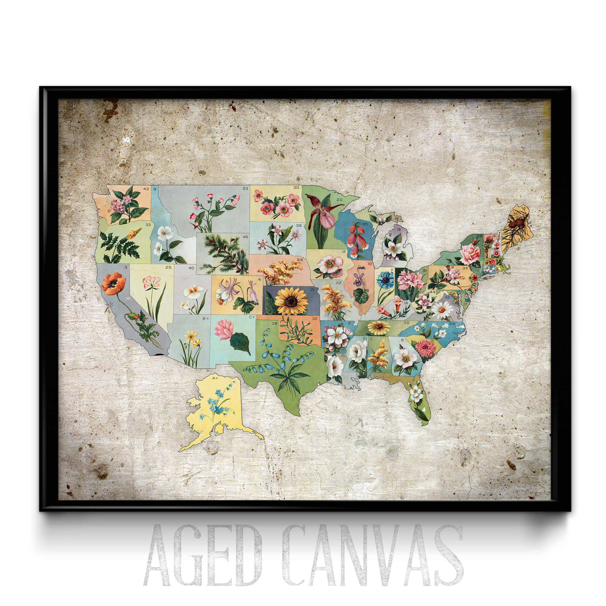 US Map Beautiful Bouquet Map of the United States Flower | Etsy