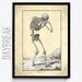 Crying Skeleton Vintage Print Science Picture Skeleton Poster Anatomy ...