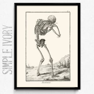 Crying Skeleton Vintage Print Science Picture Skeleton Poster Anatomy ...