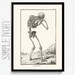 Crying Skeleton Vintage Print Science Picture Skeleton Poster Anatomy ...