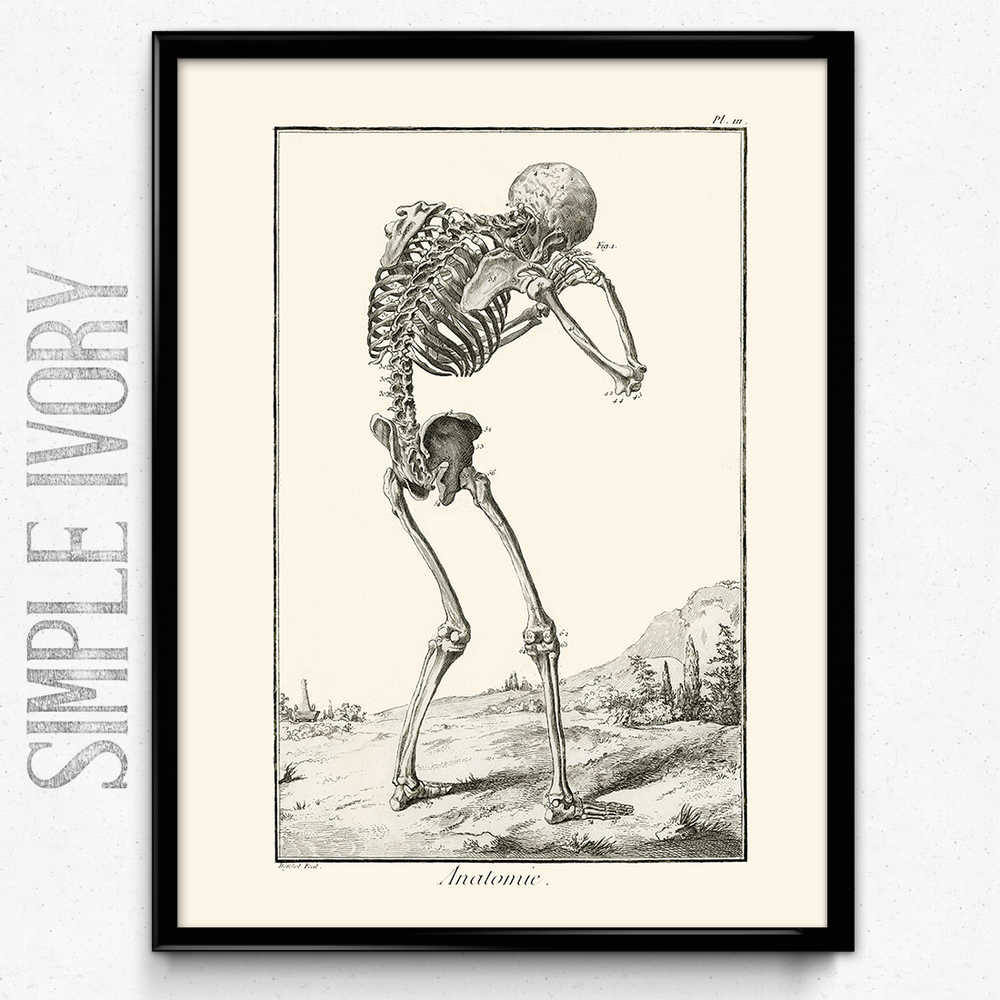 Crying Skeleton Vintage Print Science Picture Skeleton | Etsy
