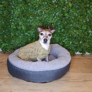 Ledger Sweater CROCHET Pattern - Beginner Friendly Sweater for Dogs in ...