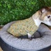 Ledger Sweater CROCHET Pattern - Beginner Friendly Sweater for Dogs in ...