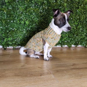Ledger Sweater CROCHET Pattern - Beginner Friendly Sweater for Dogs in ...