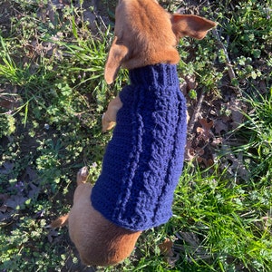 Jax Cable Crochet Dog Sweater - Etsy