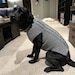 Jax Cable Crochet Dog Sweater - Etsy