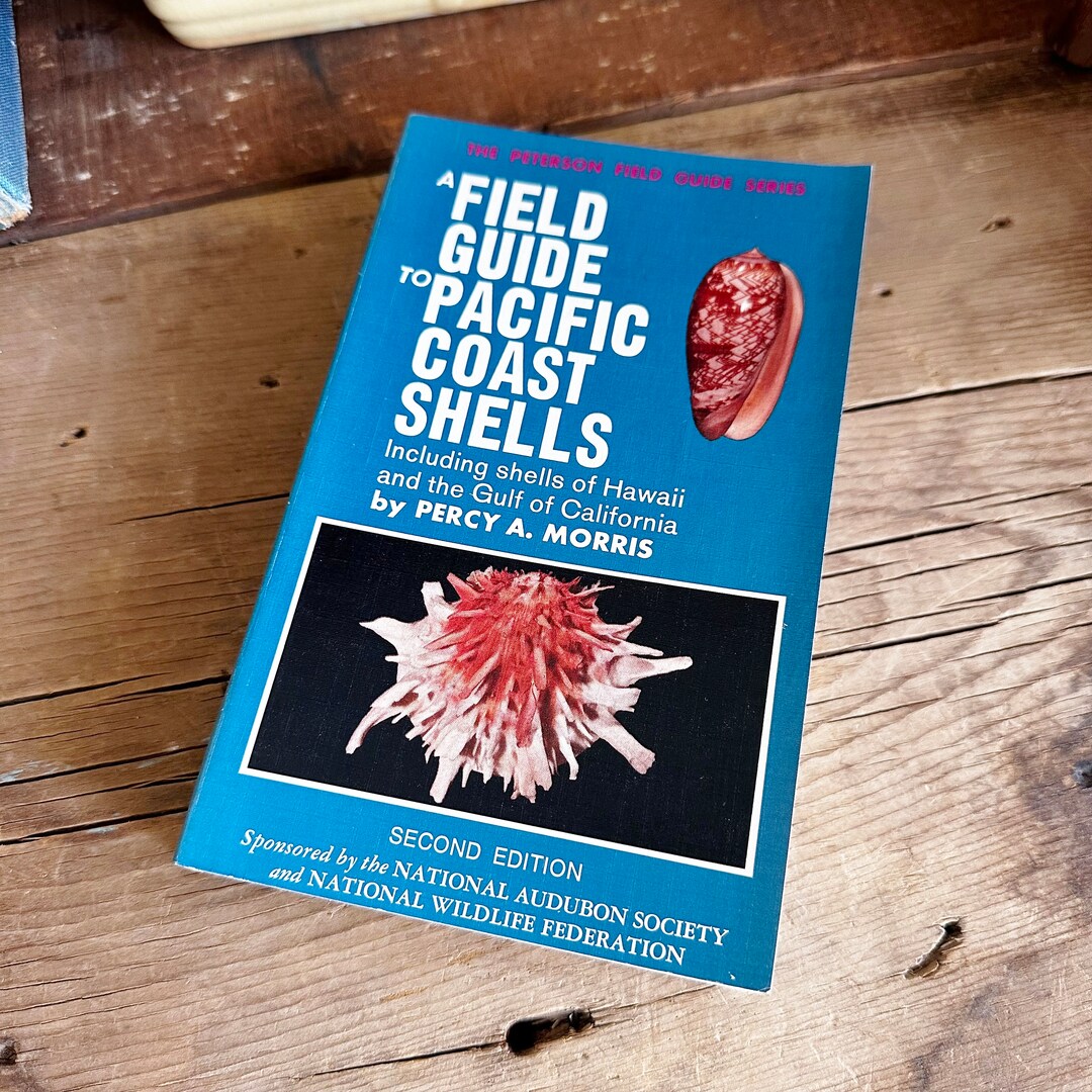 1966 Peterson Field Guide to Pacific Coast Shells, Percy A. Morris ...