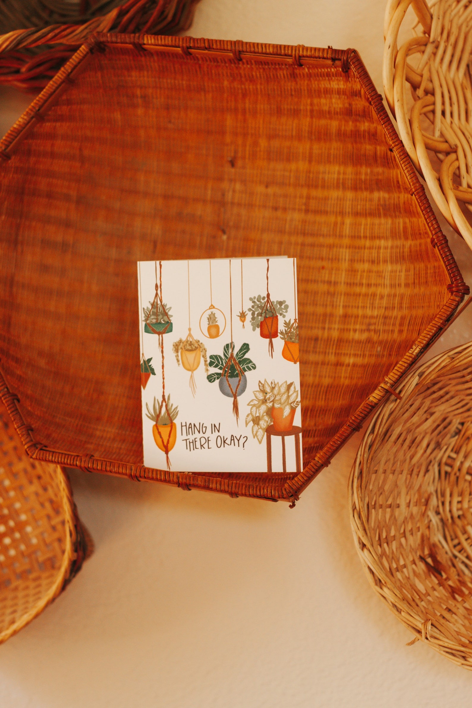 Hang in There Hanging Plant Card Plant Lady Card - Etsy