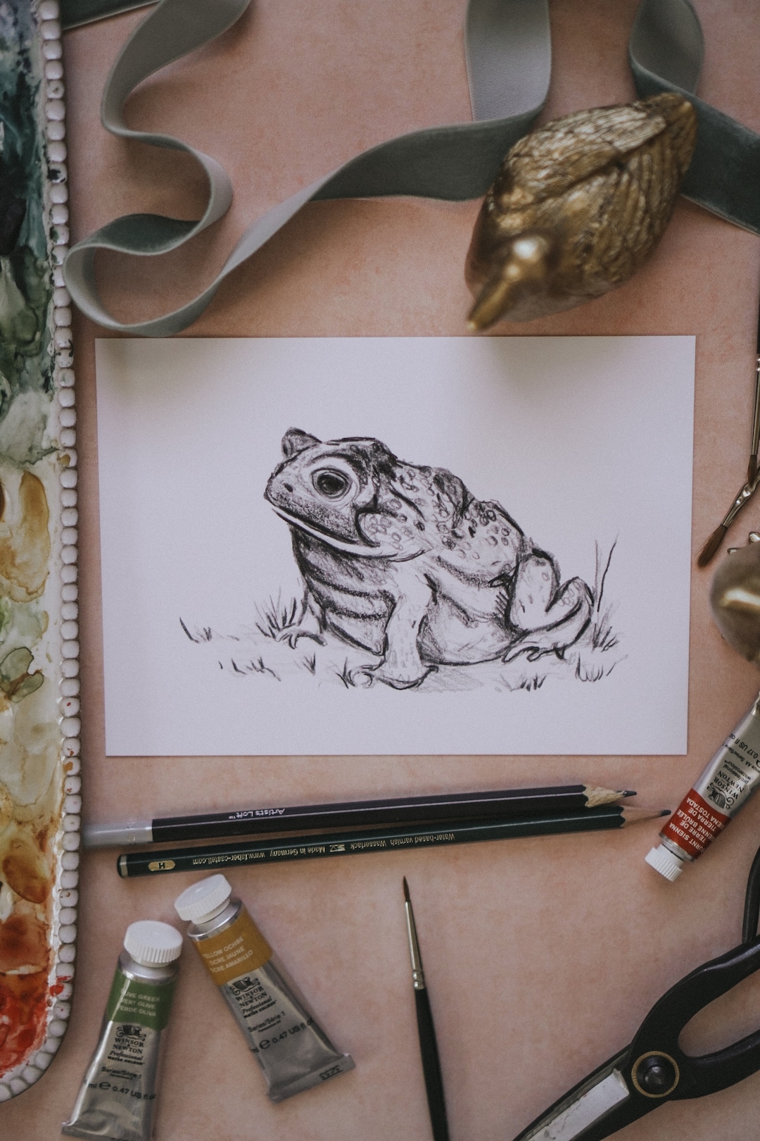 Croquis de crapaud, dessin de crapaud, illustration de printemps ...