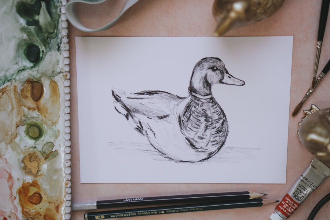 Mallard Duck Sketch, Duck Drawing, Spring Illustration, Duck ...