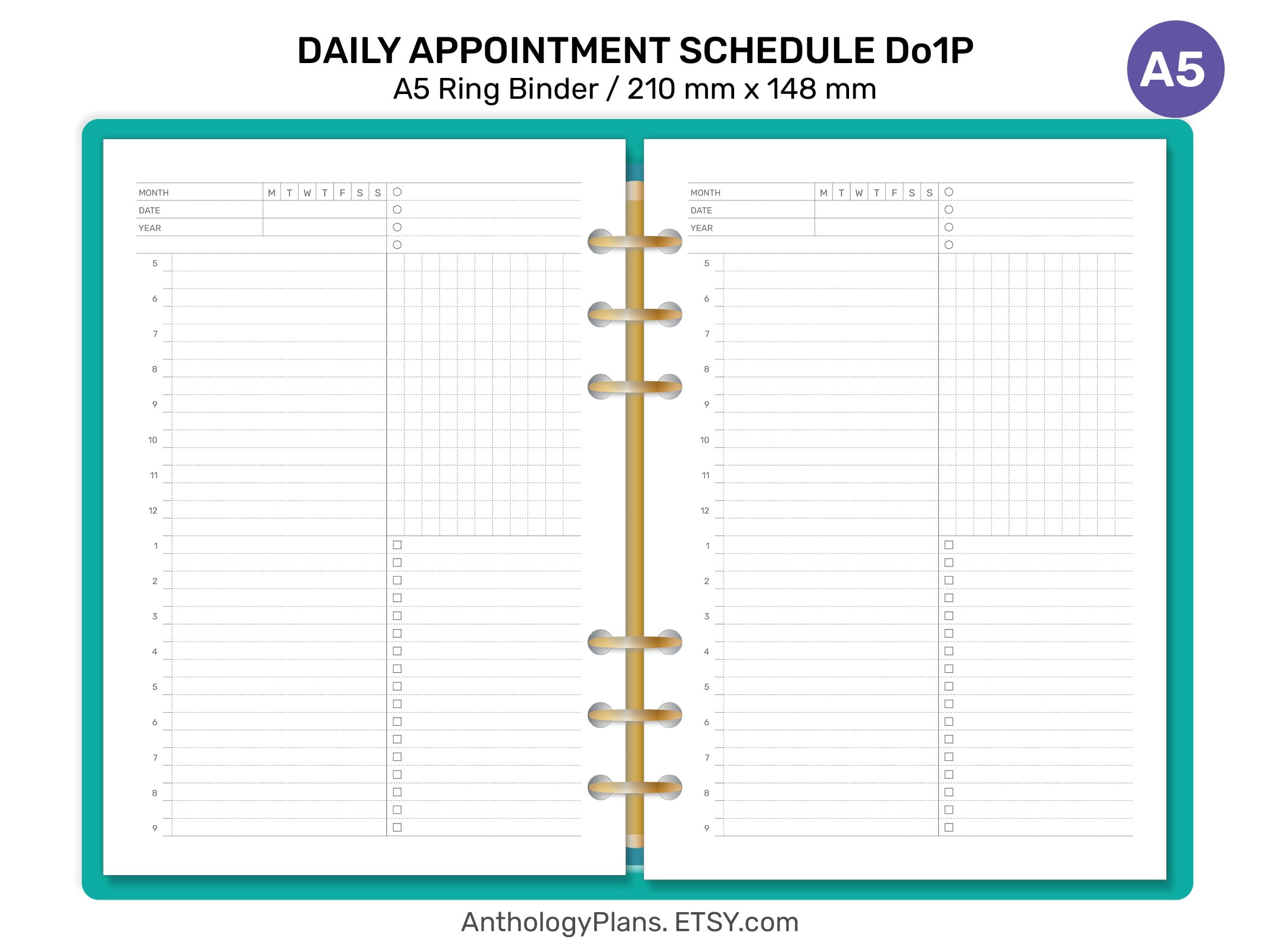 Daily Appointment Calendar