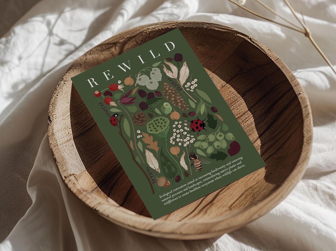 REWILD Rewilding Dark Green Greeting Card | Autumn Winter Green ...
